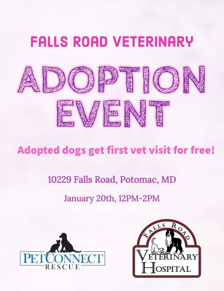Events from February 10 – October 29, 2023 – PetConnect Rescue
