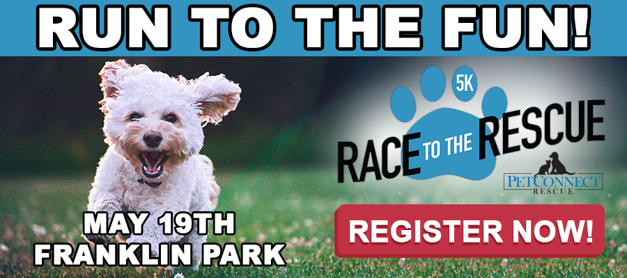 PetConnect Rescue - Get ready to find your new family member!